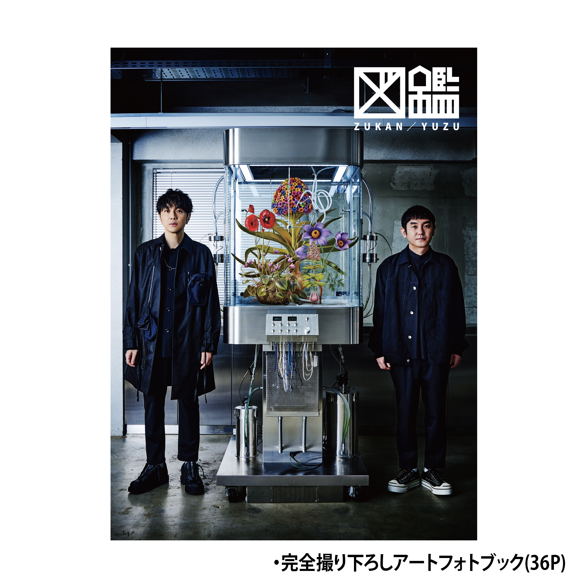 NEW ALBUM YUZU図鑑 | ゆずオフィシャルサイト